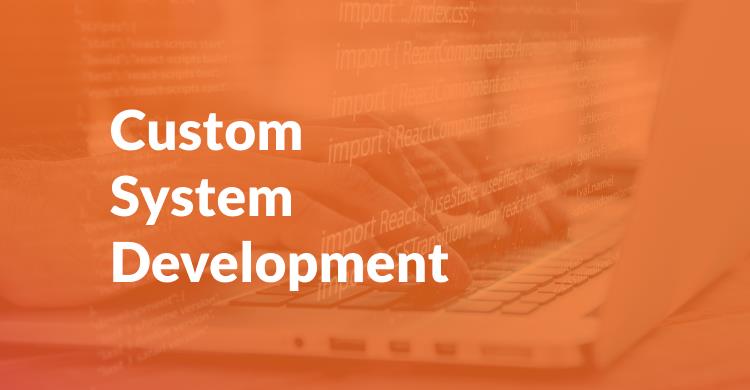 Custom System Development